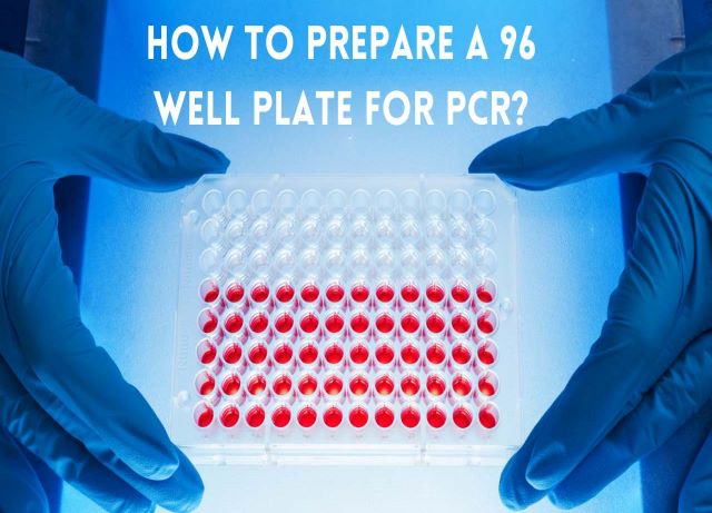 How to Prepare a 96 Well Plate for PCR?