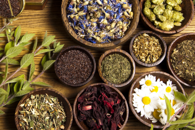 Top 10 Herbal Products to Improve Your Lifestyle