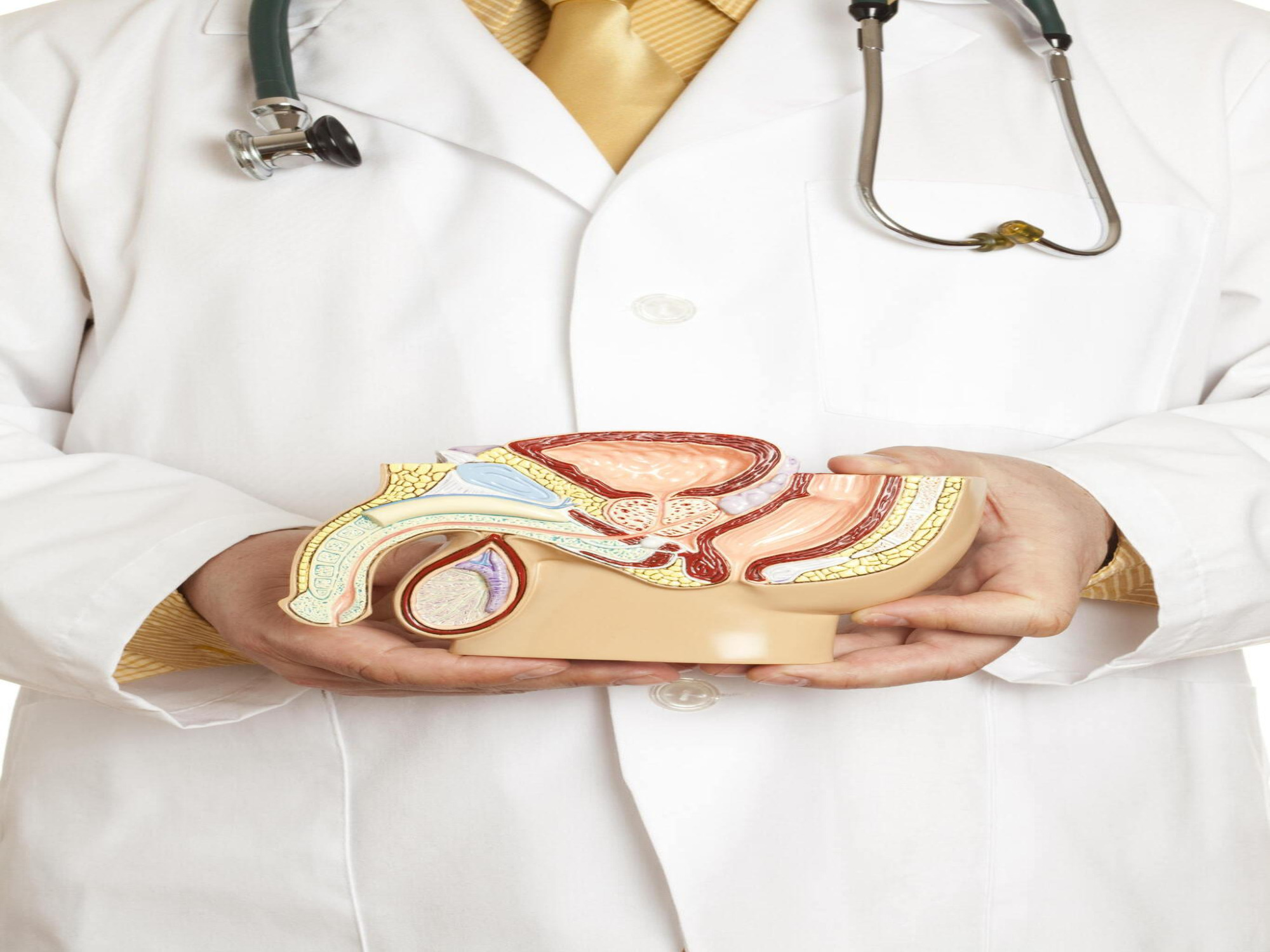 A Guide to Sperm/Testicular Tissue Freezing