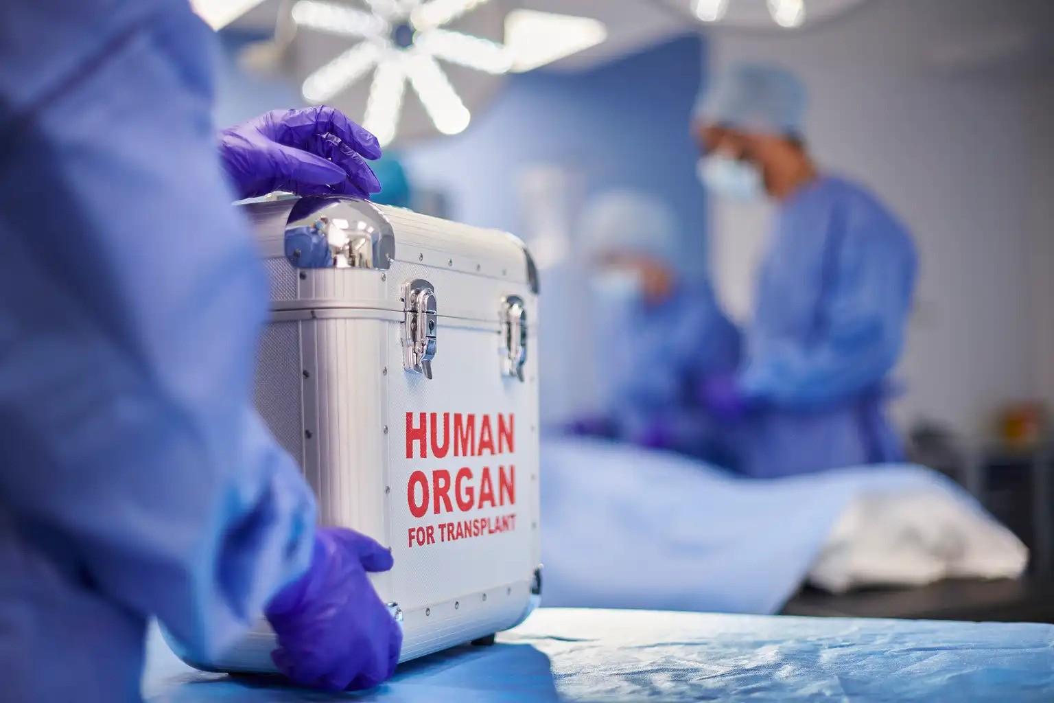 What To Expect During Organ Transplant Surgery in India