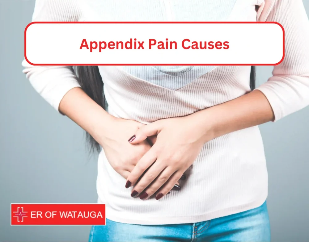Appendix Pain Symptoms: 7 Red Flags & ER Guidelines