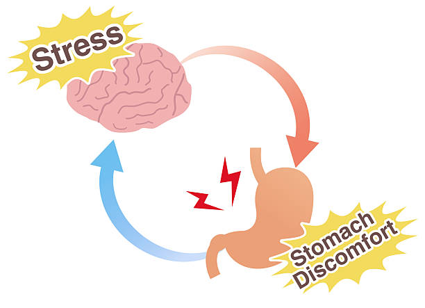 Stress Effects on Digestion and Gut Health